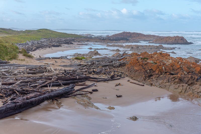 Edge of the World Lookout at Tasmania, Australia Stock Image - Image of ...