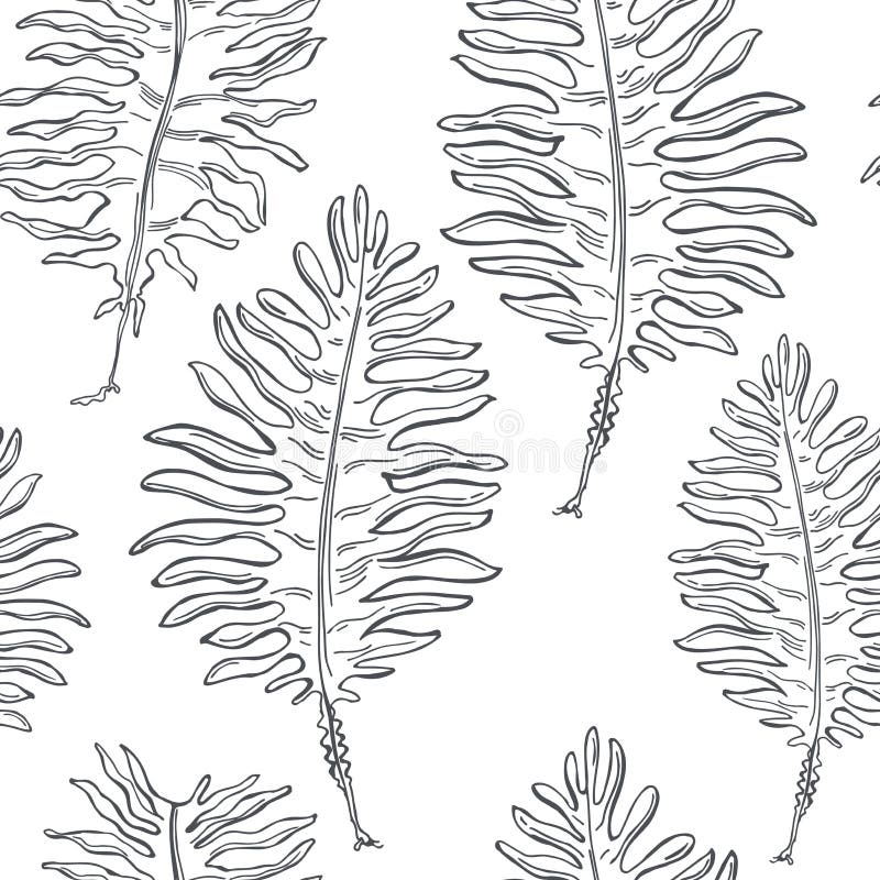 Edible Algae. Vector Pattern Stock Vector - Illustration of nature ...