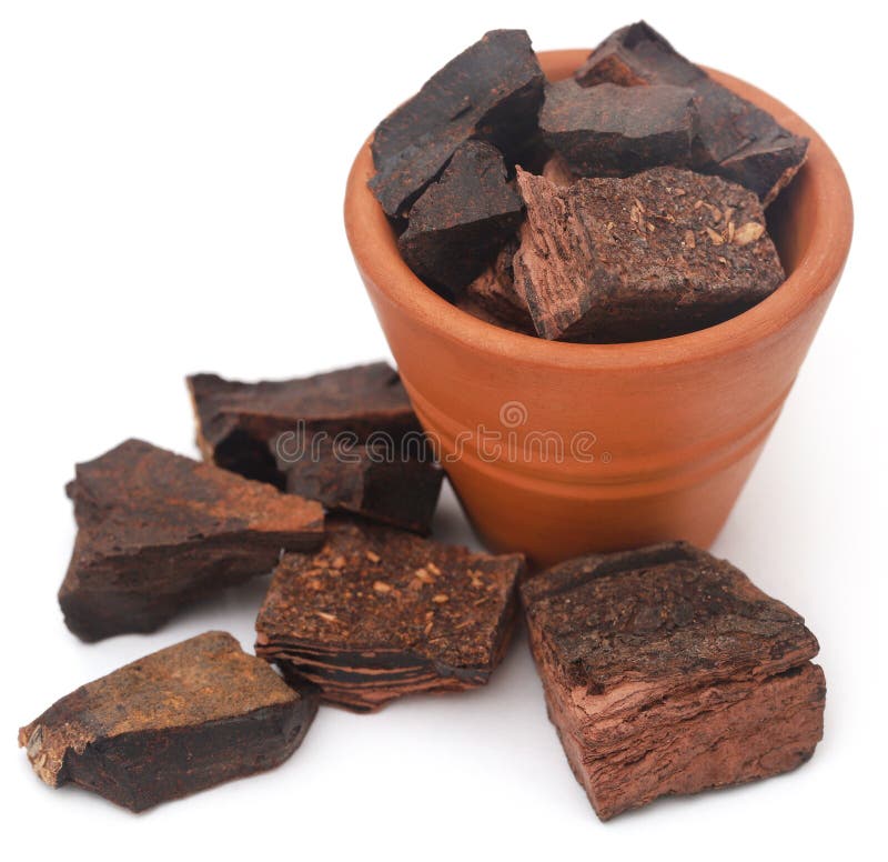 Edible black catechu stock image. Image of food, acacia - 267603725