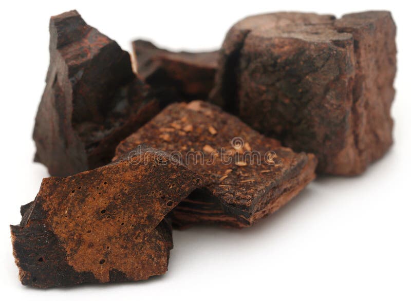 Edible black catechu stock photo. Image of edible, substance - 267419518