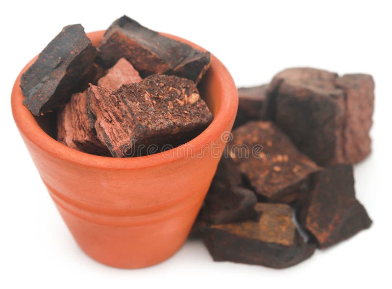Edible black catechu stock photo. Image of organic, masala - 269123644