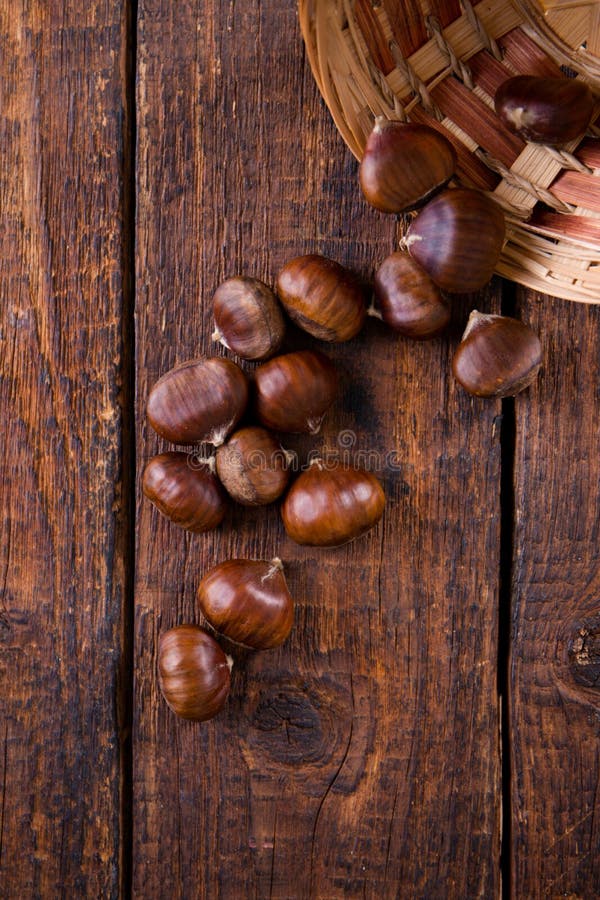 Edible chestnut stock photo. Image of organic, healthy - 238005388