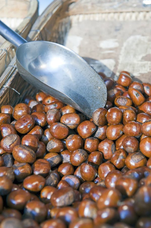 Edible chestnuts stock image. Image of round, fresh, closeup - 27766695