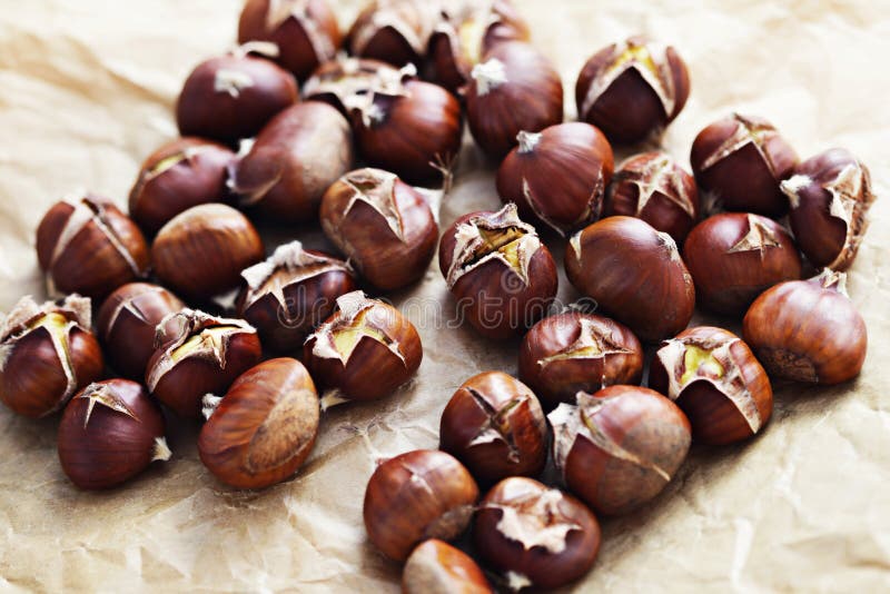Edible chestnuts stock photo. Image of chestnut, nature - 27906890