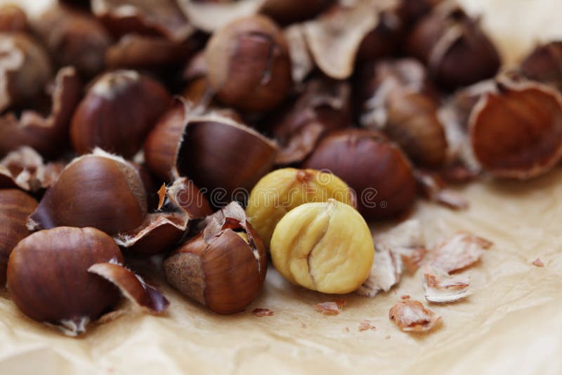 Edible chestnuts stock photo. Image of plant, plants - 27906908