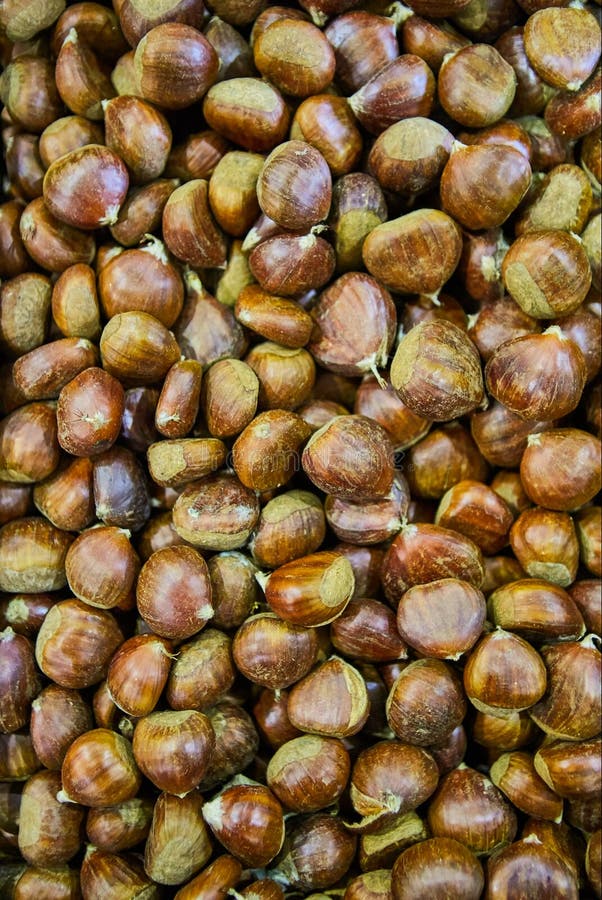 Edible Chestnuts Lie on a Counter in a Store Top View Stock Image ...