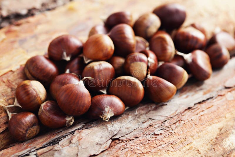 Edible chestnuts stock image. Image of nutrition, food - 42411547