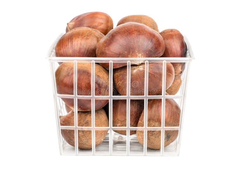 Edible Chestnuts in Packaging Stock Image - Image of healthy, seed ...