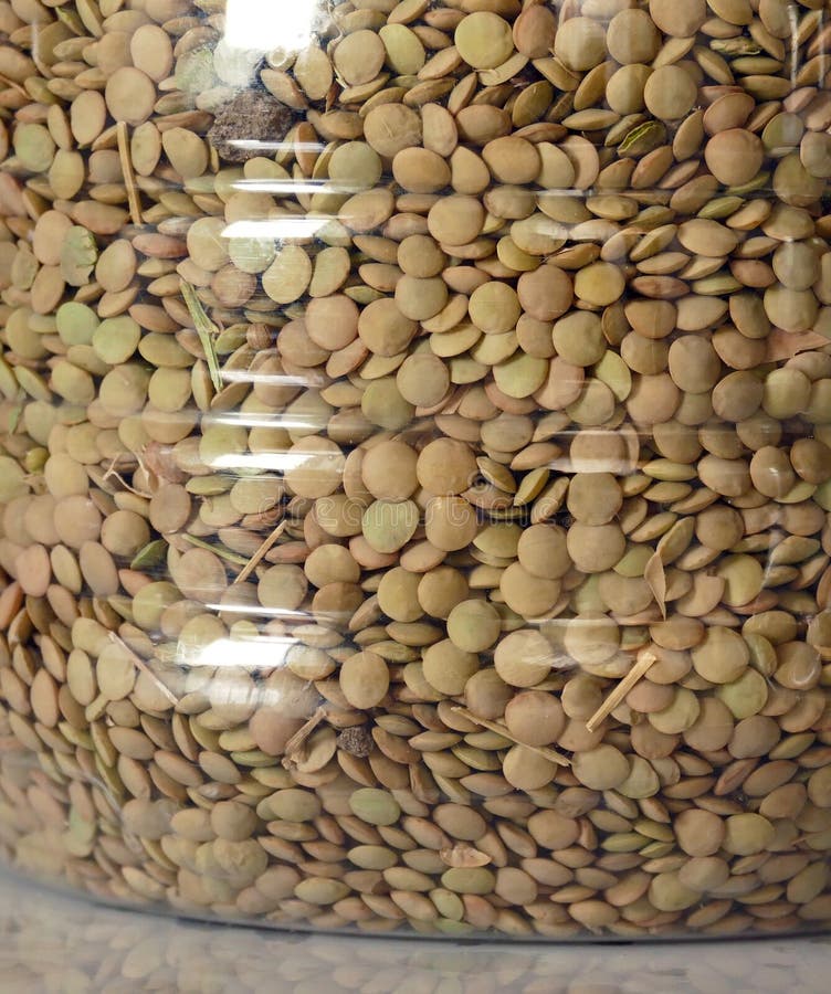 Edible Dried Lentils, Organic Dried Green Lentils in the Storage Box ...