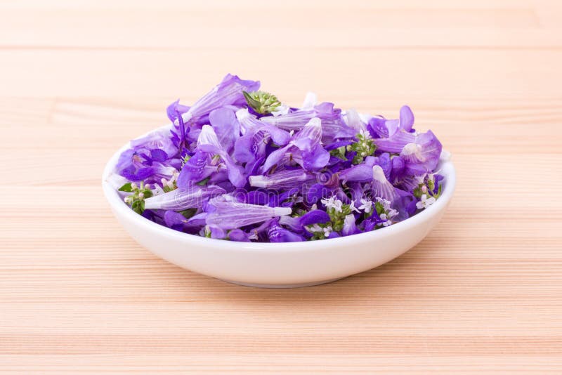 Violet, edible flowers stock image. Image of medicinal - 97831831