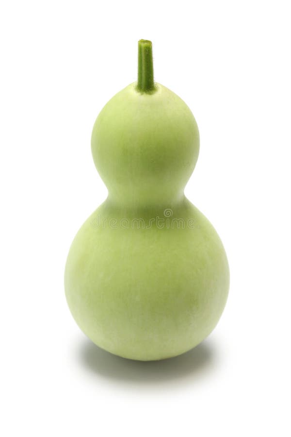 Green Calabash Isolated on White Background Stock Photo - Image of ...