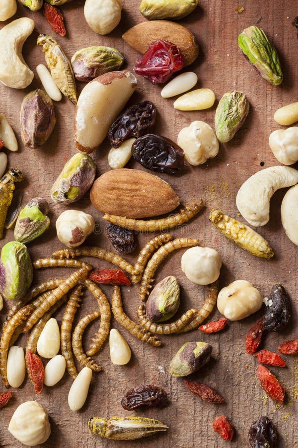 Edible insects and nuts stock image. Image of crunchy - 46092077