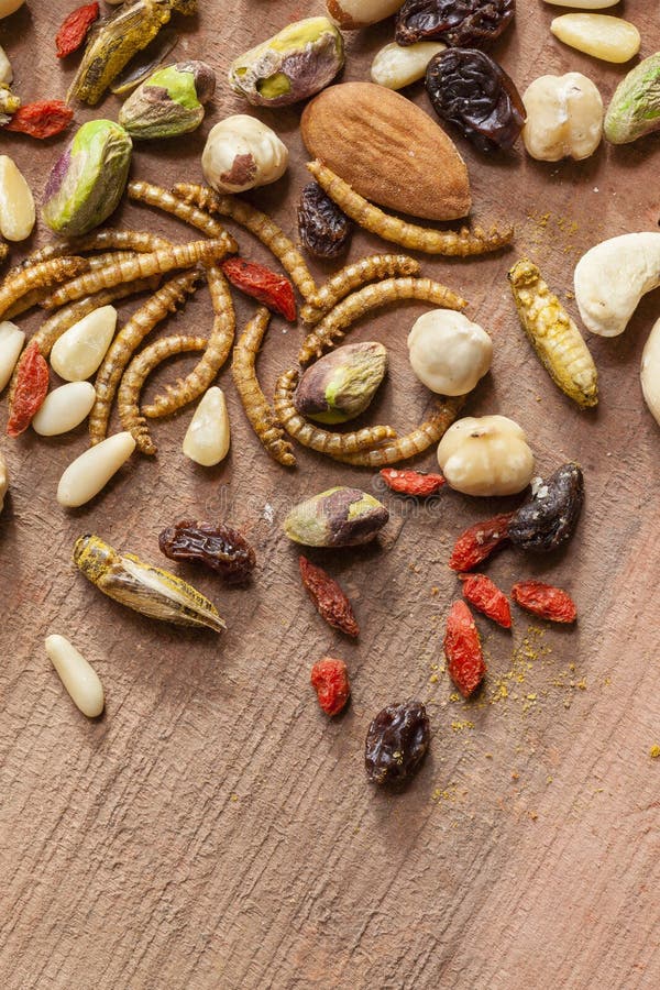 Edible insects and nuts stock image. Image of delicious - 46092103