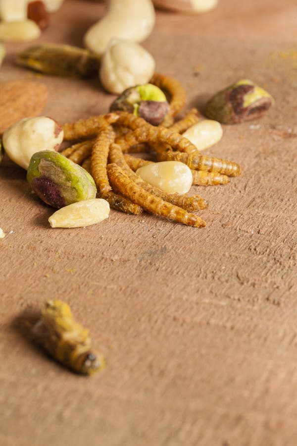 Edible insects and nuts stock photo. Image of exotic - 46092164