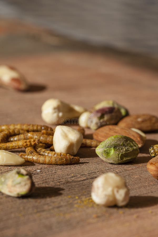 Edible roasted insects stock image. Image of crunchy - 37421073