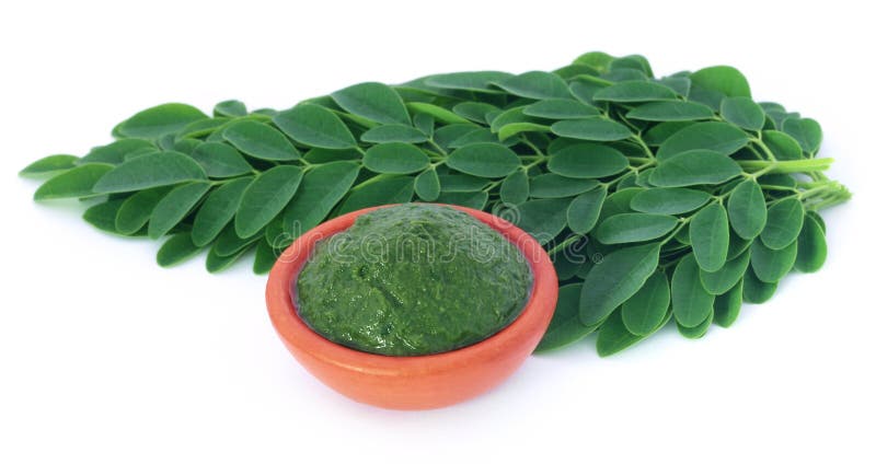 Edible Moringa Leaves with Ground Paste Stock Image - Image of healer ...