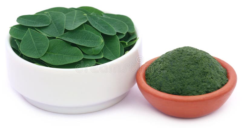 Edible Moringa Leaves with Ground Paste Stock Photo - Image of ground ...