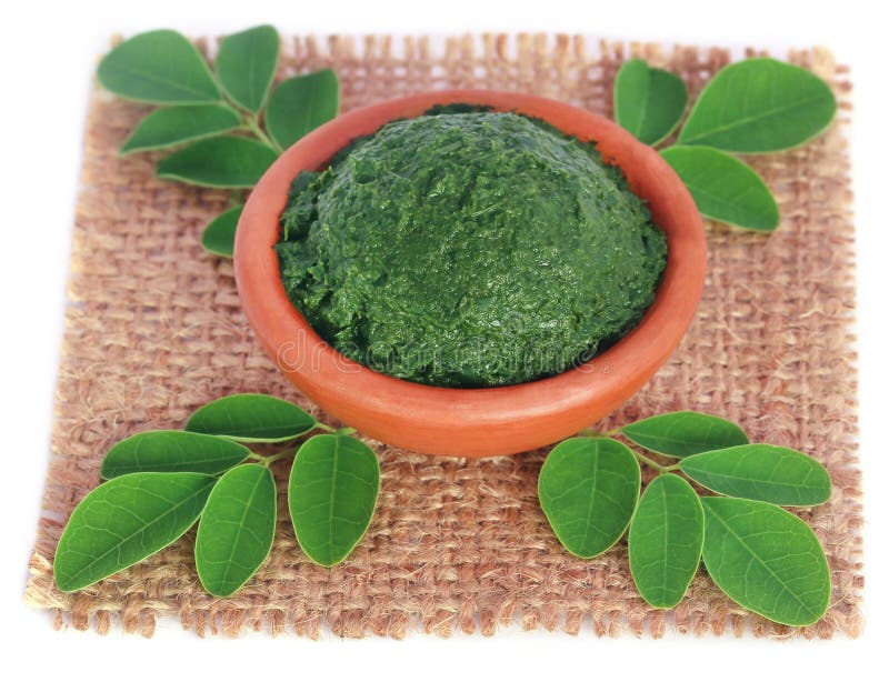 Edible Moringa Leaves with Ground Paste Stock Image - Image of ...