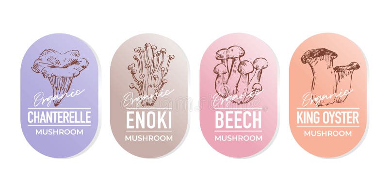 Edible Mushrooms Label Set 3 Stock Vector - Illustration of mushroom ...