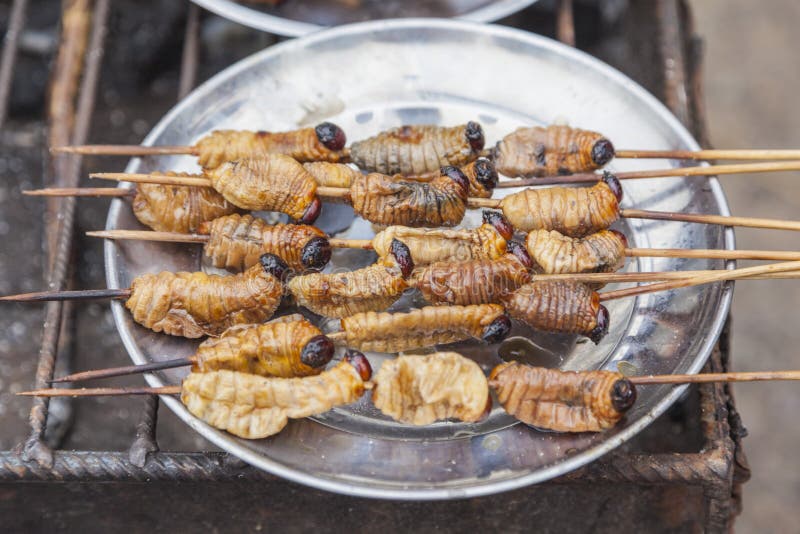 Palm Weevil Larvae on Hand of Asian Female, Eating Edible Insects ...