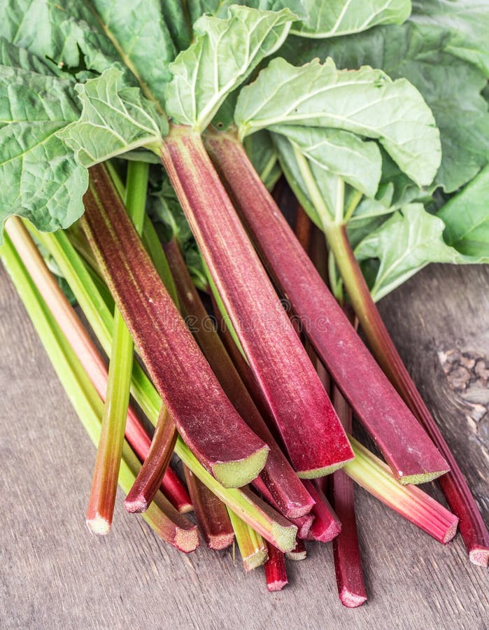 Edible Rhubarb Stalks on the White Background Stock Image - Image of ...