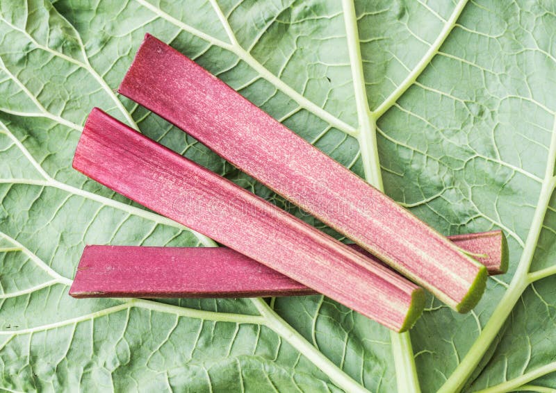 Edible Rhubarb Stalks on the Wooden Table Stock Photo - Image of stem ...