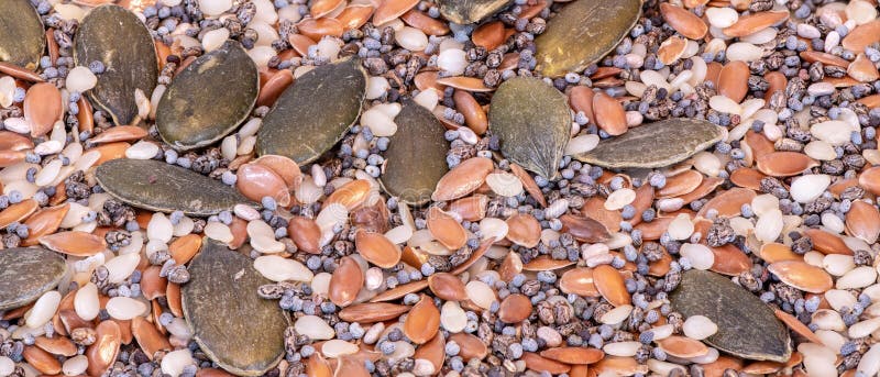 Edible seeds stock photo. Image of background, grained - 215770658