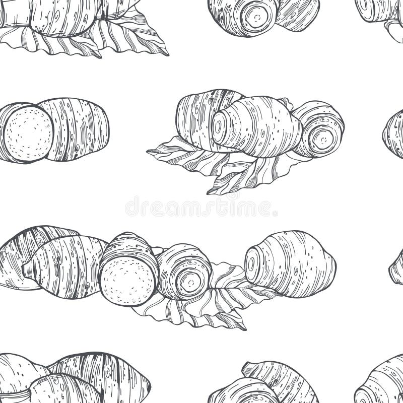 Taro Leaf Drawing Stock Illustrations – 92 Taro Leaf Drawing Stock ...