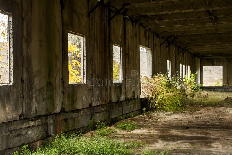 Edificio Industrial Descuidado Imagen de archivo - Imagen de ventana ...