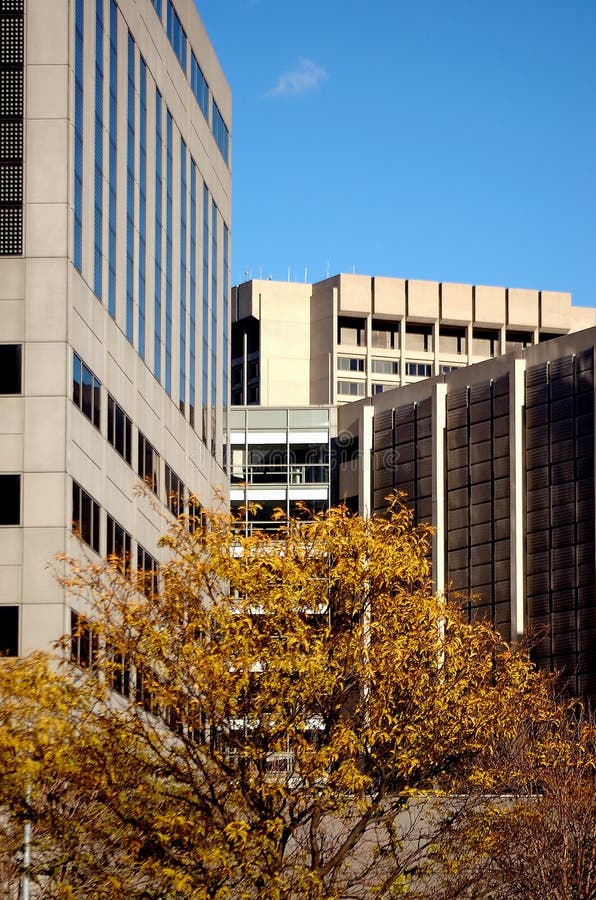 Edificios de Detroit imagen de archivo. Imagen de oficinas - 5447693