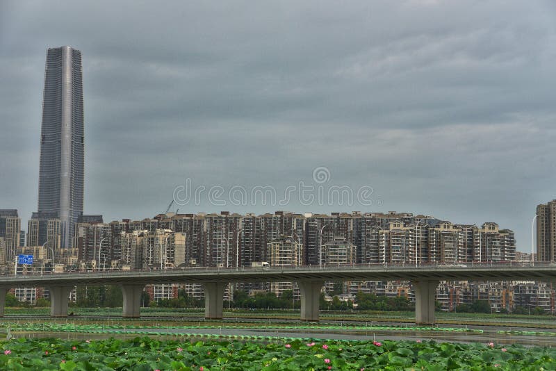 Edificios modernos foto editorial. Imagen de puente - 256663341