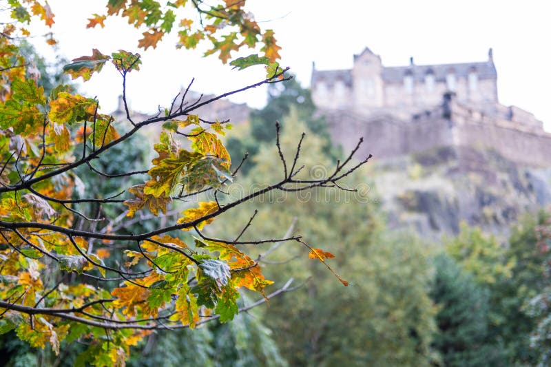 Edinburgh Castle Behind the Tree Branches Stock Image - Image of green ...