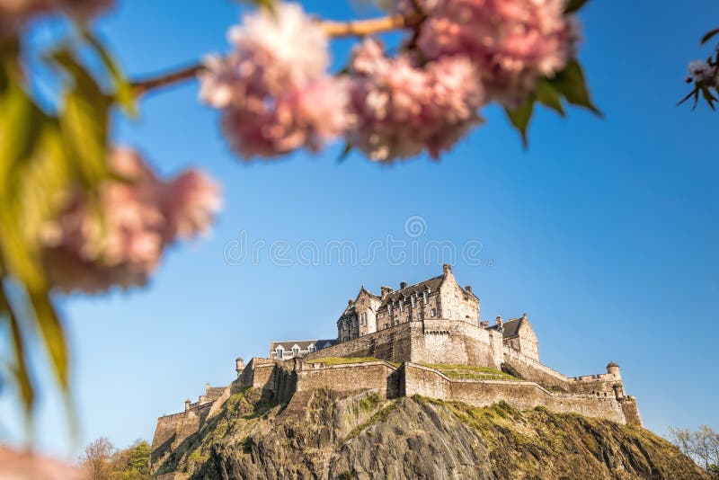 Edinburgh Castle Against Blue Sky with Flowering Tree during Springtime ...
