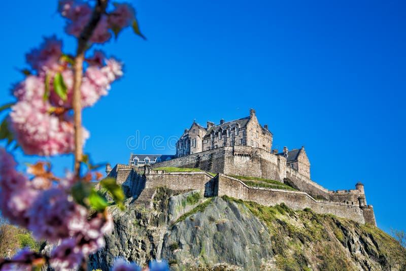 Edinburgh Castle with Spring Tree in Scotland Stock Photo - Image of ...