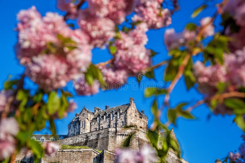 Edinburgh Castle with Spring Tree in Scotland Stock Image - Image of ...