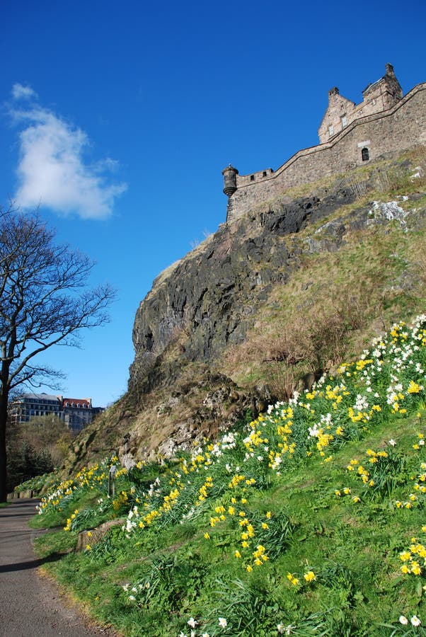 Edinburgh Castle walls stock photo. Image of narcissus - 68432408