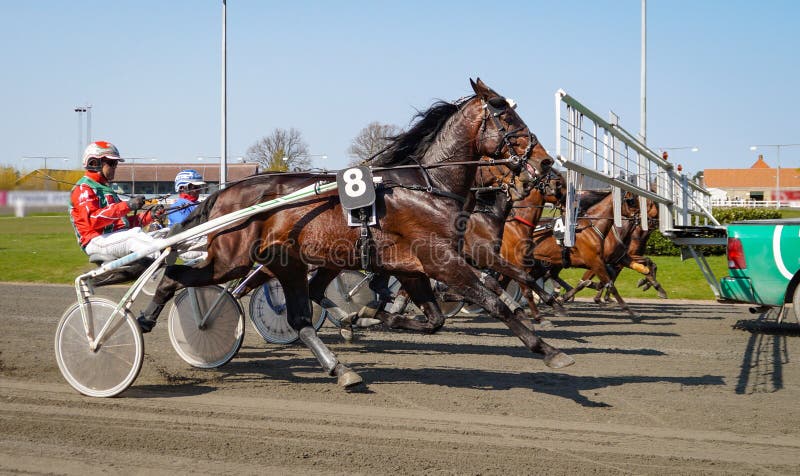Trotters in harness race editorial image. Image of horse - 128847530