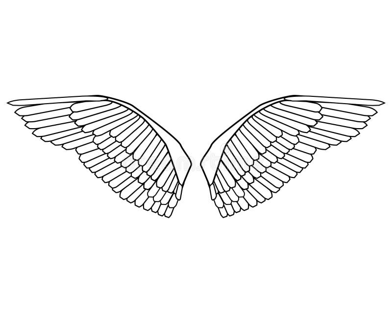 Simple Bird Wings