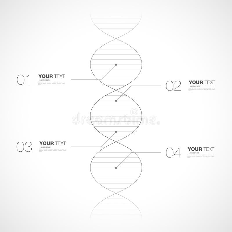 DNA Vs RNA Strand Infographic Diagram Stock Vector - Illustration of ...