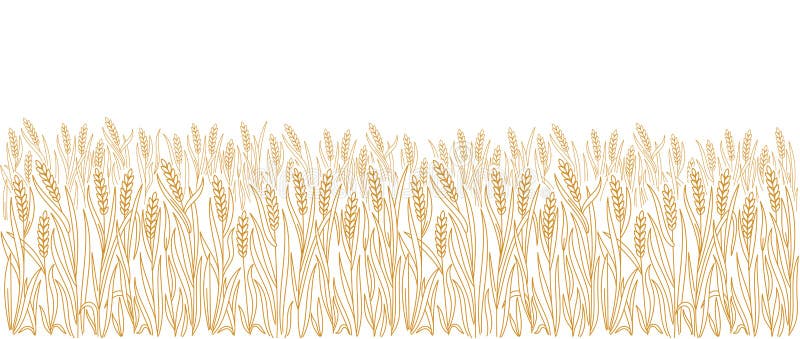 Wheat Field. Vector Line. Editable Outline Stroke. Design Wrapper of ...