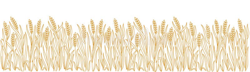 Wheat Field. Ears of Wheat Rye or Barley. Vector Line. Editable Outline ...