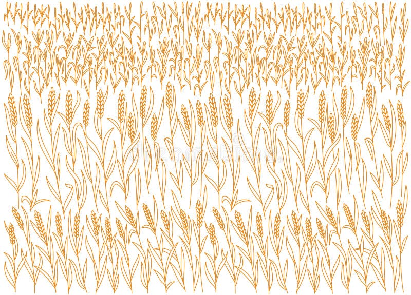 Agriculture Wheat Field. Vector Line. Editable Outline Stroke Thickness ...