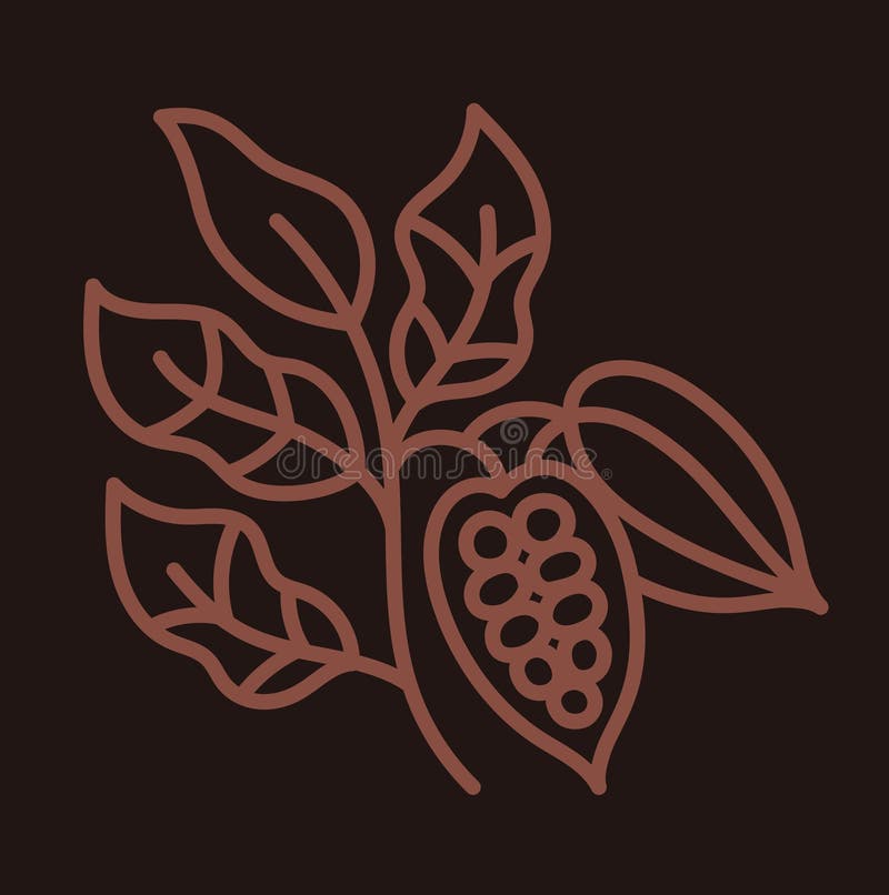 Cocoa Bean. Beans and Branches Leaves. Editable Outline Stroke. Vector ...