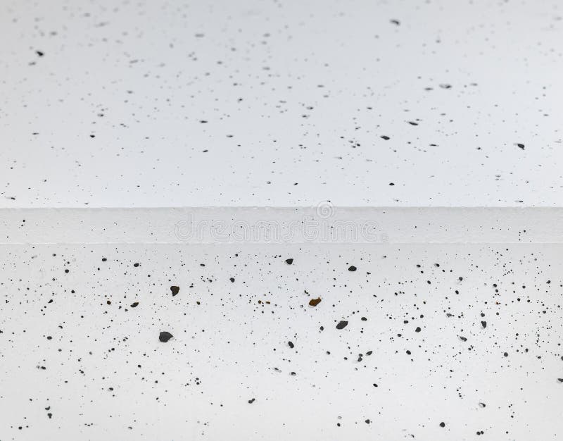 Rich Raw Grey Background Texture. Stock Photo - Image of front ...