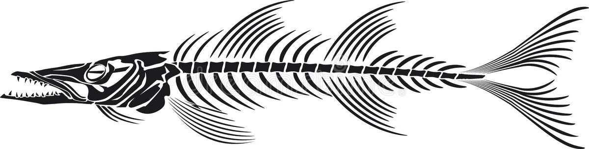 Bass Fish Skeleton Stock Illustrations – 97 Bass Fish Skeleton Stock ...