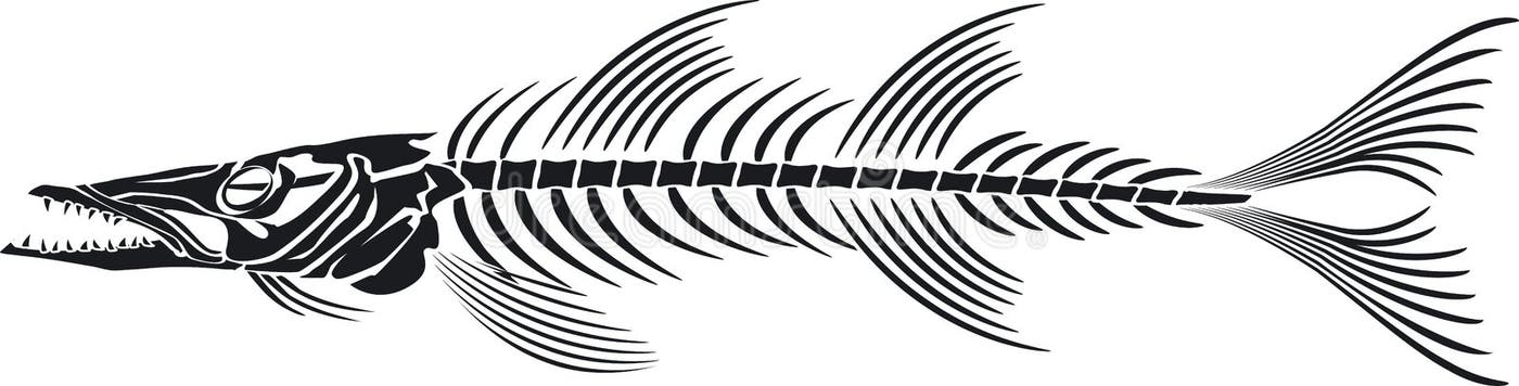 Bass Skeleton Stock Illustrations – 235 Bass Skeleton Stock ...