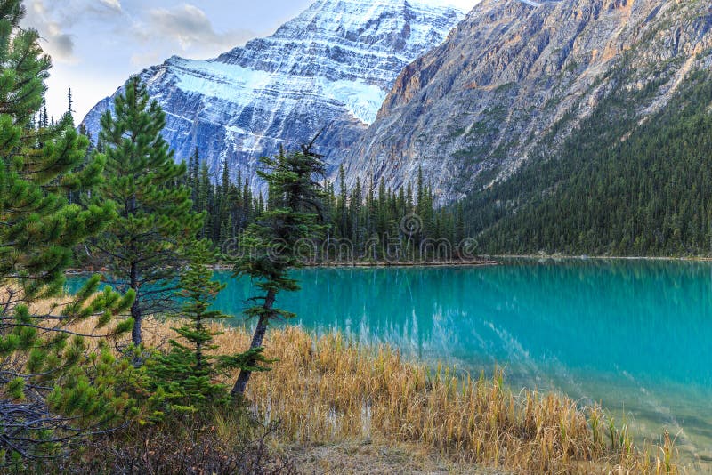 Edith Cavell Lake stock image. Image of snow, reflection - 49135661