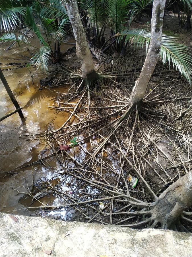 Editorial, Commercial, Sea, Landscape Stock Photo - Image of editorial ...