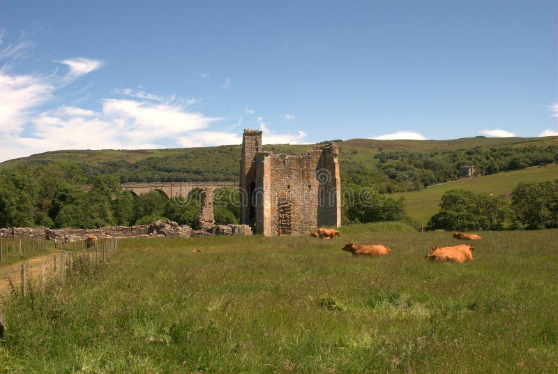 Edlingham Castle and Old Arched Bridge in Summer Stock Image - Image of ...