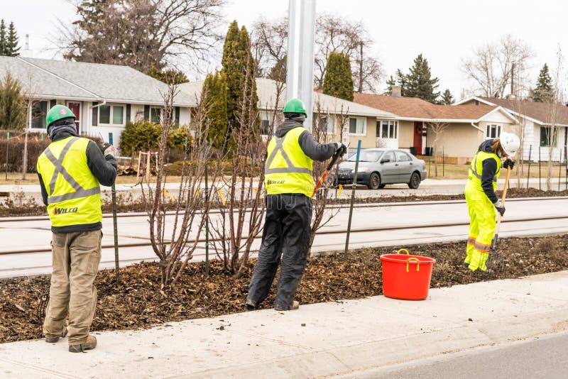 Landscaping Work at City Construction LRT Site Editorial Photography ...